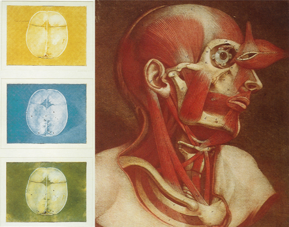 RYBK model – MULTIMEDIAMAN