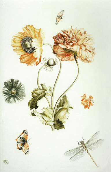 RYBK model – MULTIMEDIAMAN